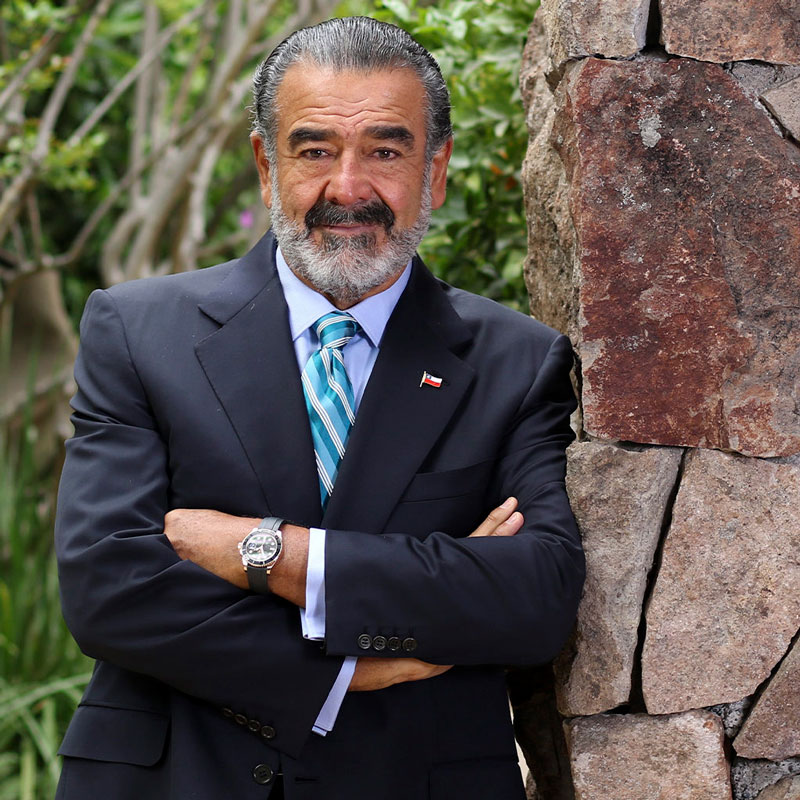 ANDRÓNICO LUKSIC - CEO ACTIVISTA LATAM